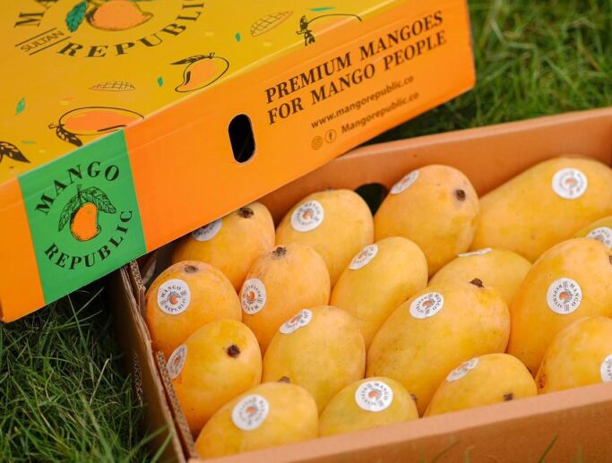 Mango Republic – Premium Mangoes For Mango People